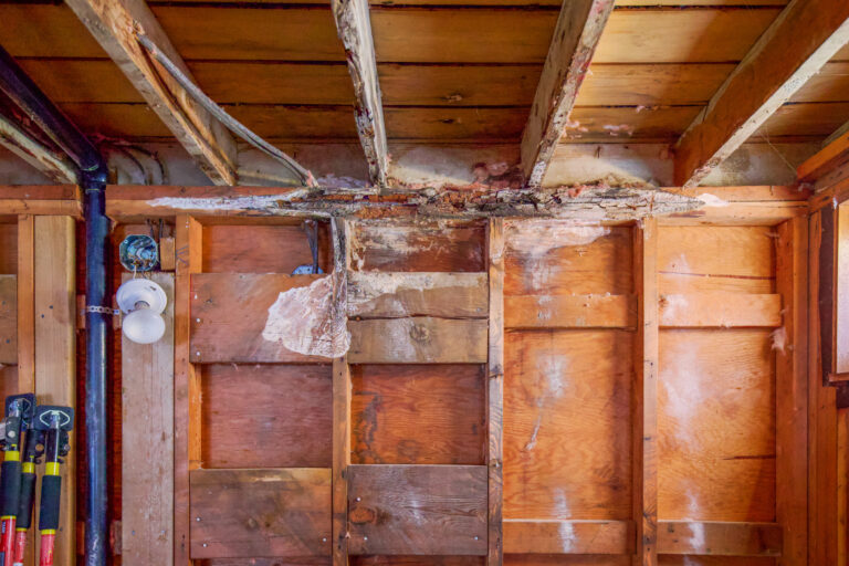 Identifying Water Damage and Dampness in Structures: Building ...